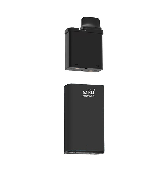 Mung Bean Flavor prefilled vape | 10ml vape juice pod